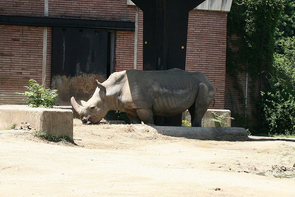 Sofia Zoo – images from Bulgaria